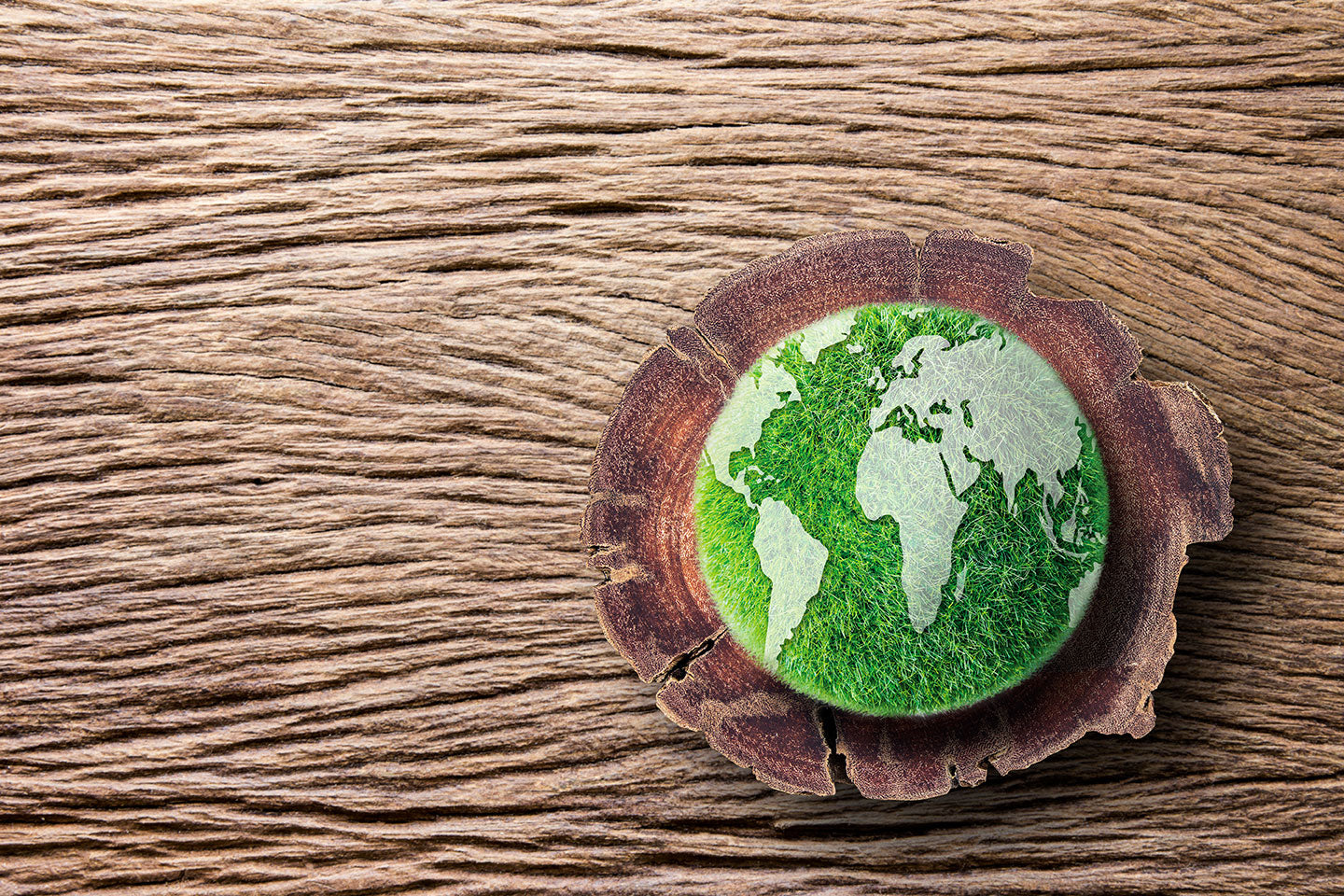 6 Tips for More Sustainable Woodworking – RZ Industries